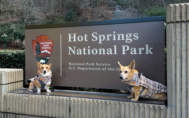 Hot Springs National Park With Dogs - Templeton Travels